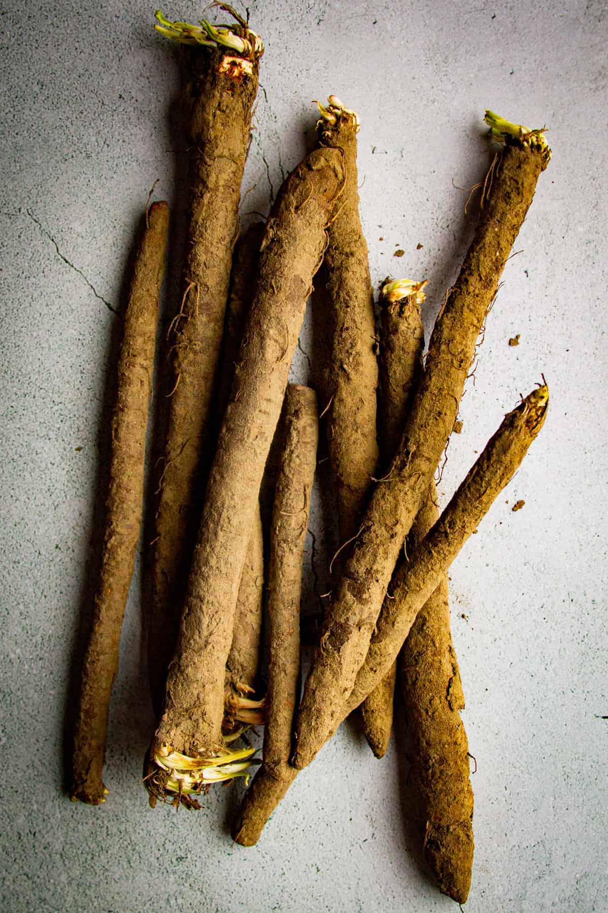 Black Salsify with Toasted Almonds, Honey and Black Pepper | Braised ...