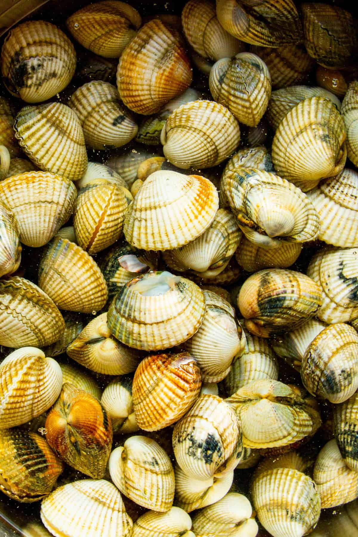 Beer-Braised Cockles with Tomato and Basil - Braised & Deglazed
