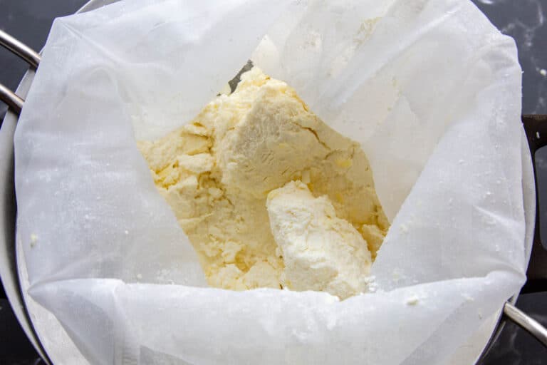 Make Your Own Whole Milk Ricotta (Easy Recipe!)
